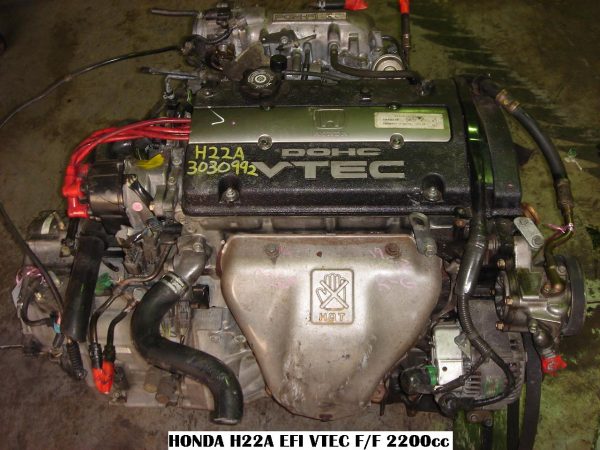 HONDA-H22A-2.2-VTEC - JapEuro